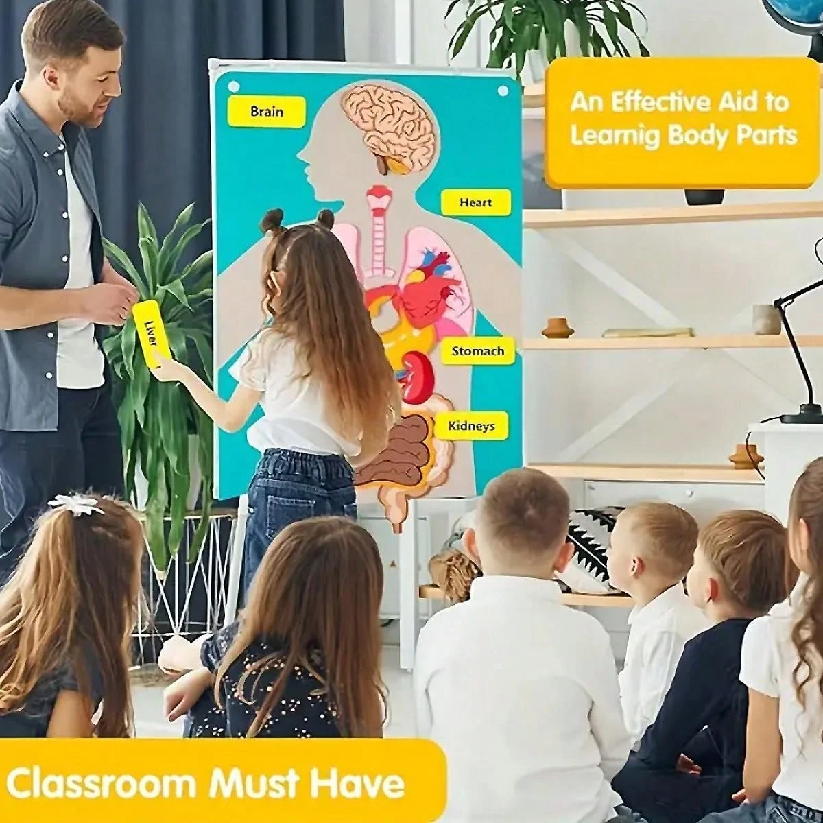 Human Organ Felt Learning Toy - Anatomy Learning Assistance Tutorial ...