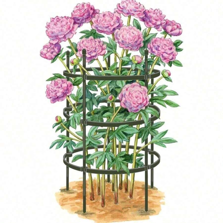 Titan Peony Plant Support Stakes - Made With Durable Metal Core And ...