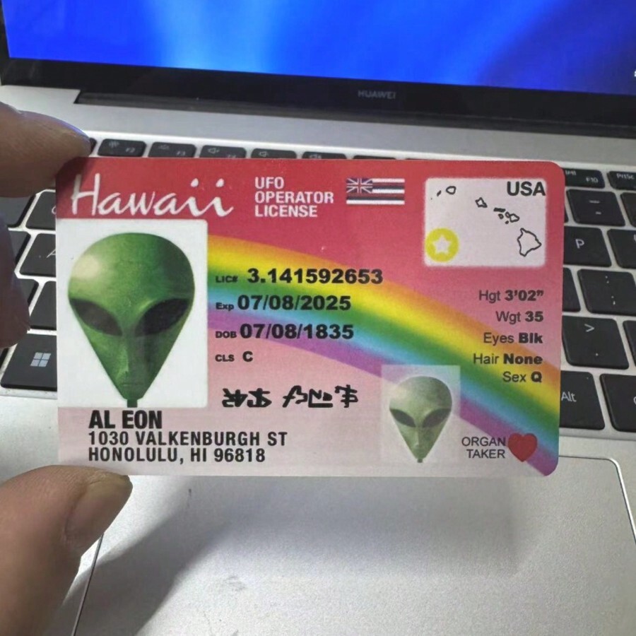 UFO Alien Drivers License, Interesting Card, Unique Gift, Wallet Insert ...