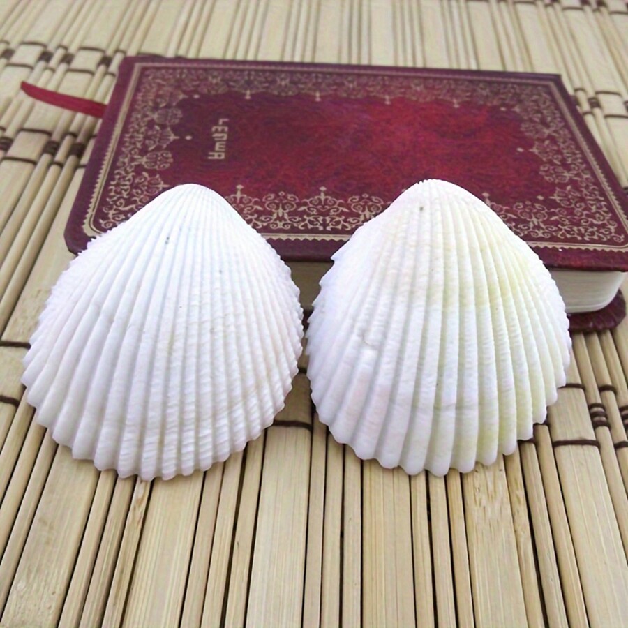 10pcs Scallop Shells - Realistic Aquarium Decorations For Fish Tank ...