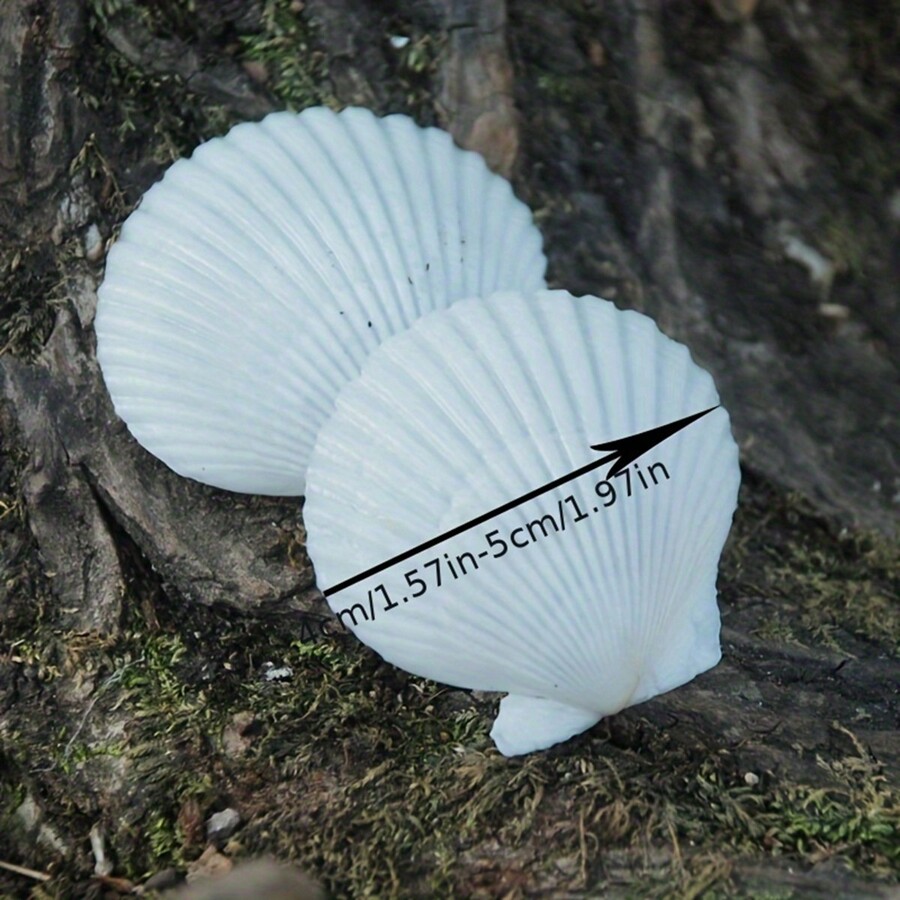 10pcs Scallop Shells - Realistic Aquarium Decorations For Fish Tank ...
