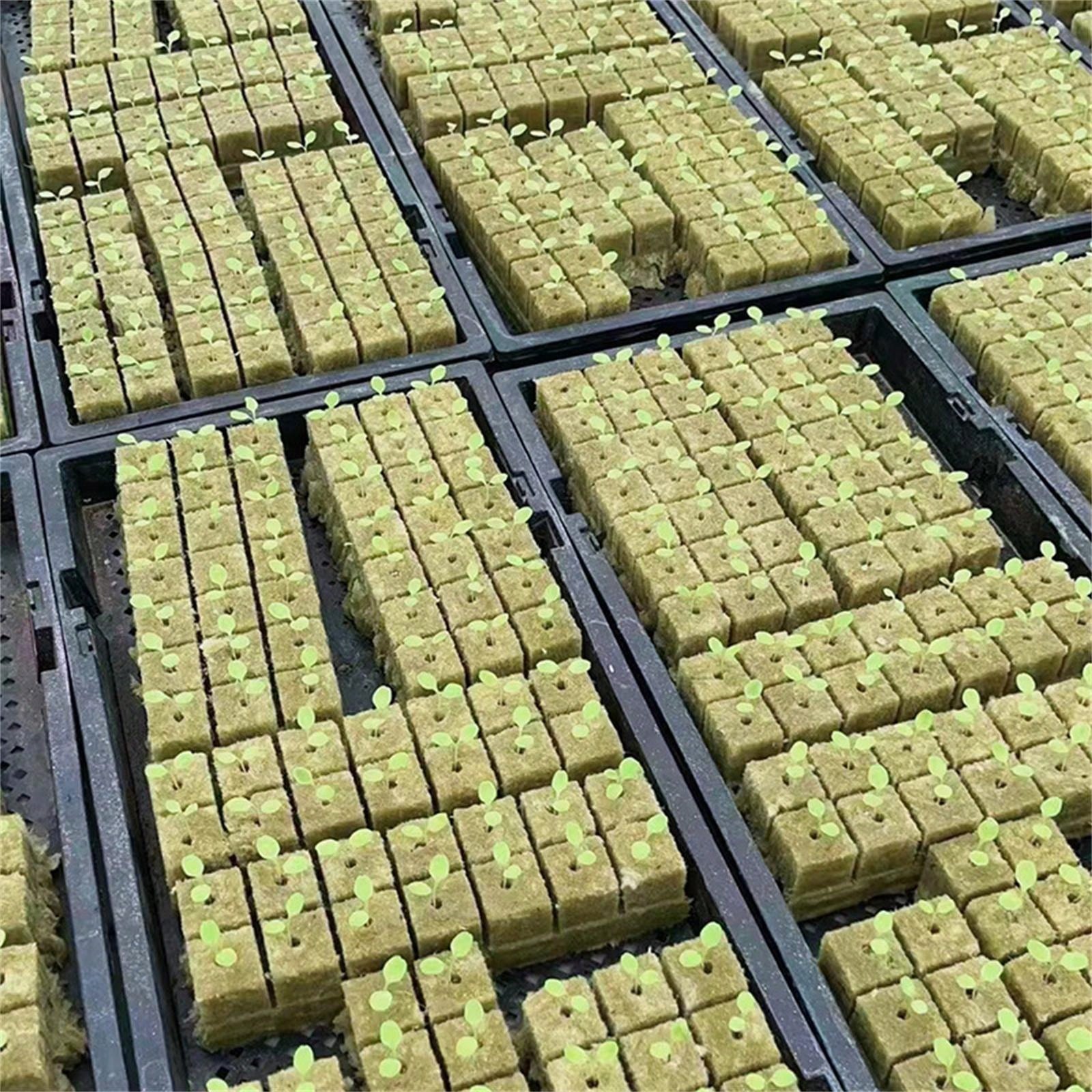 Seed Starting Plugs - Plant Growing Soil Blocks For Hydroponic Seedling ...