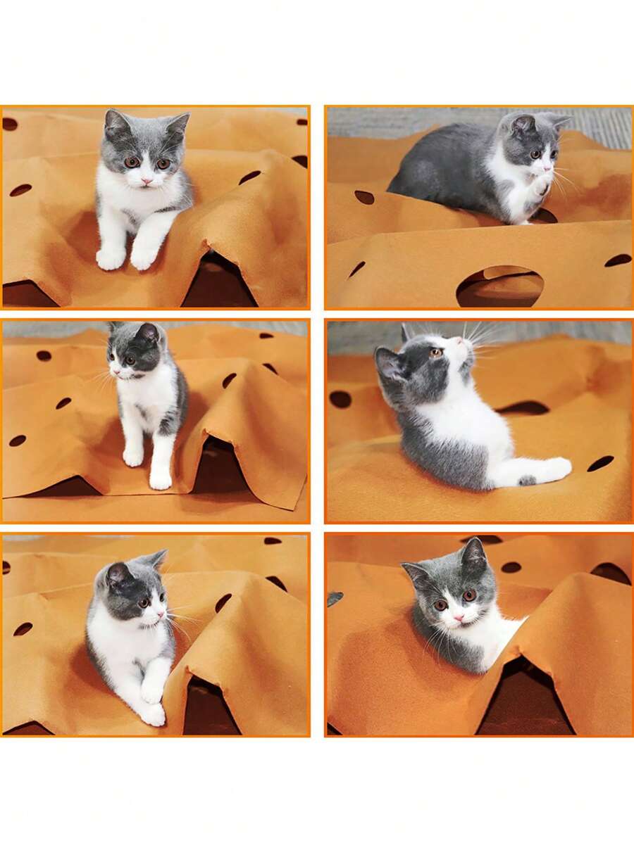 Cat Tunnel Mat, Pet Play Mat For Agility Training, Bite-Resistant ...
