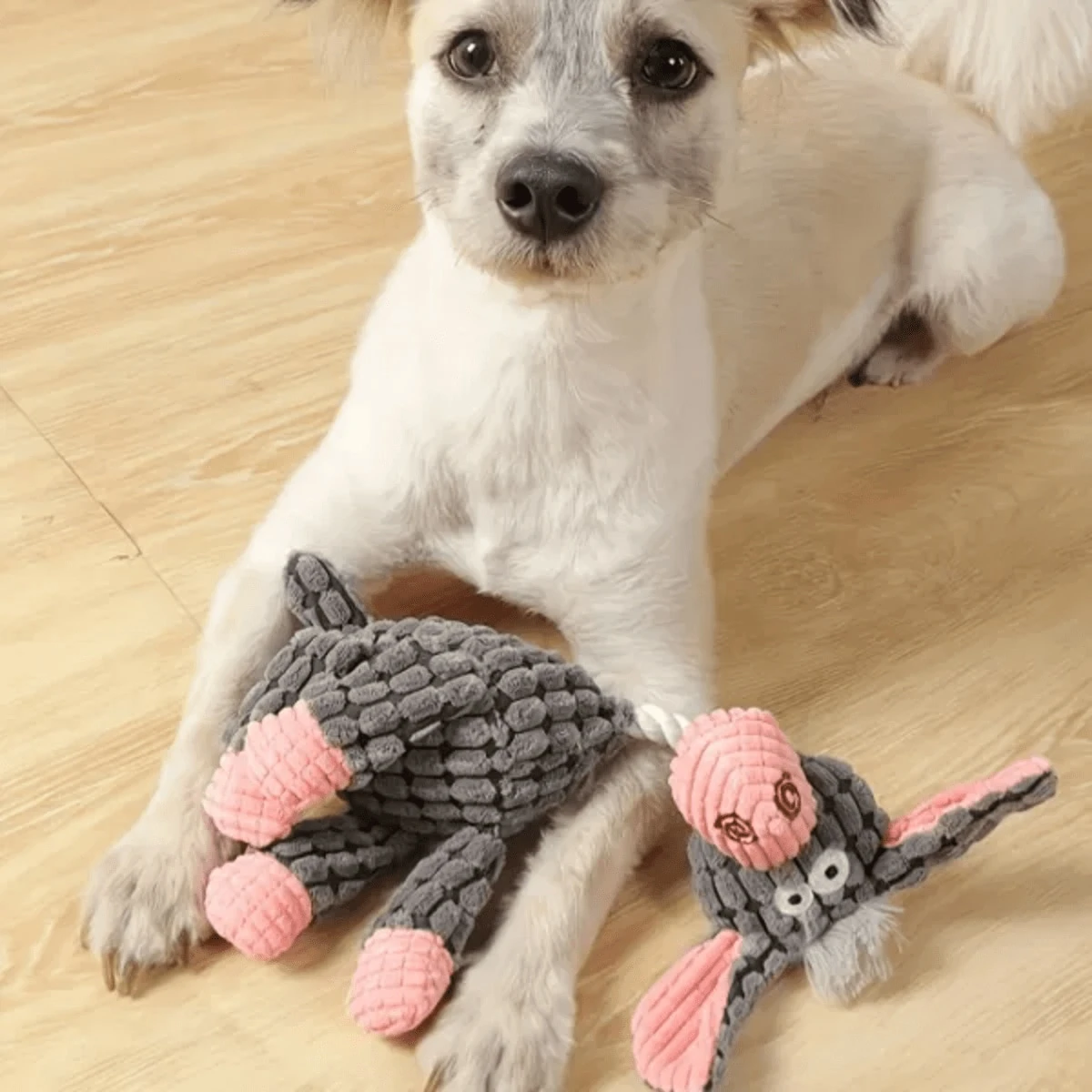 1pc Squeaky Dog Toys Pack For Puppy, Cute Soft Stuffed Animal Plush Dog ...