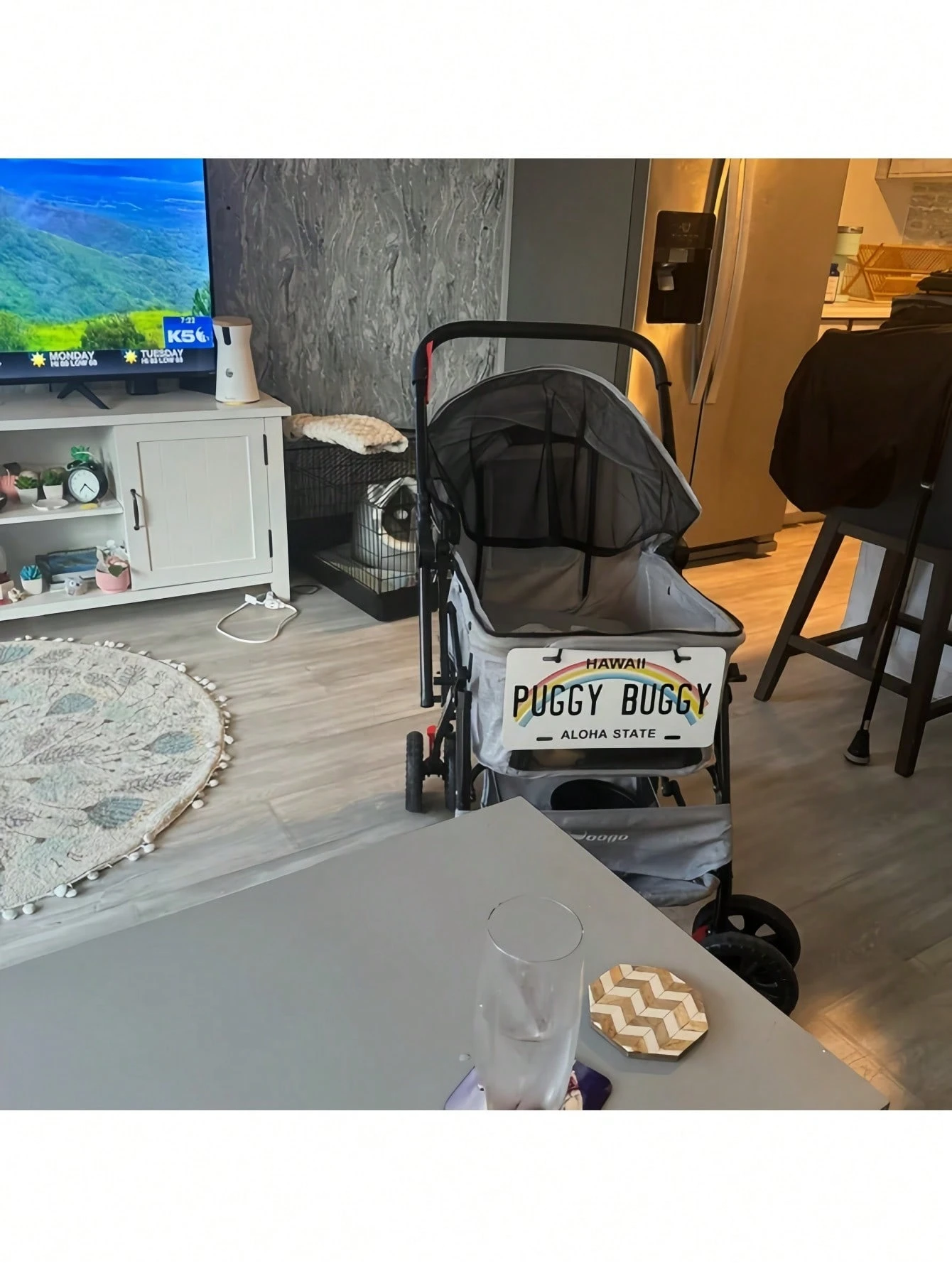 CIFbuy Custom License Plate | Custom 50 State License Plate | Choose ...