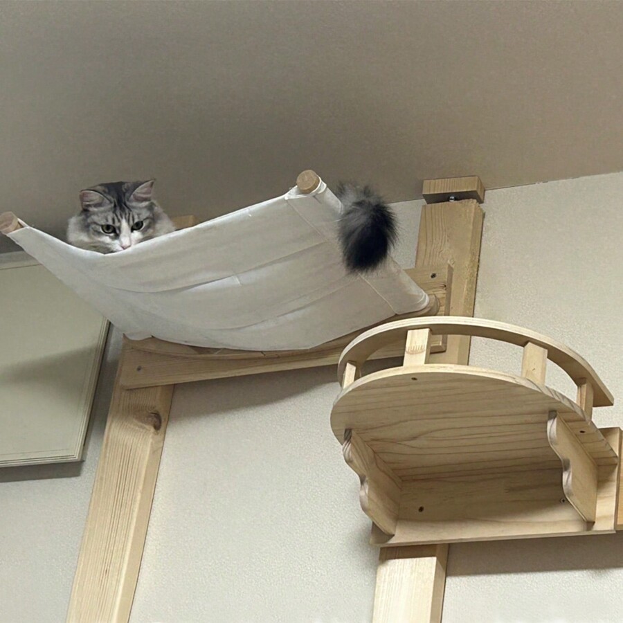 Hamaca y perchas para gato, muebles de pared para gatos, estantes de ...