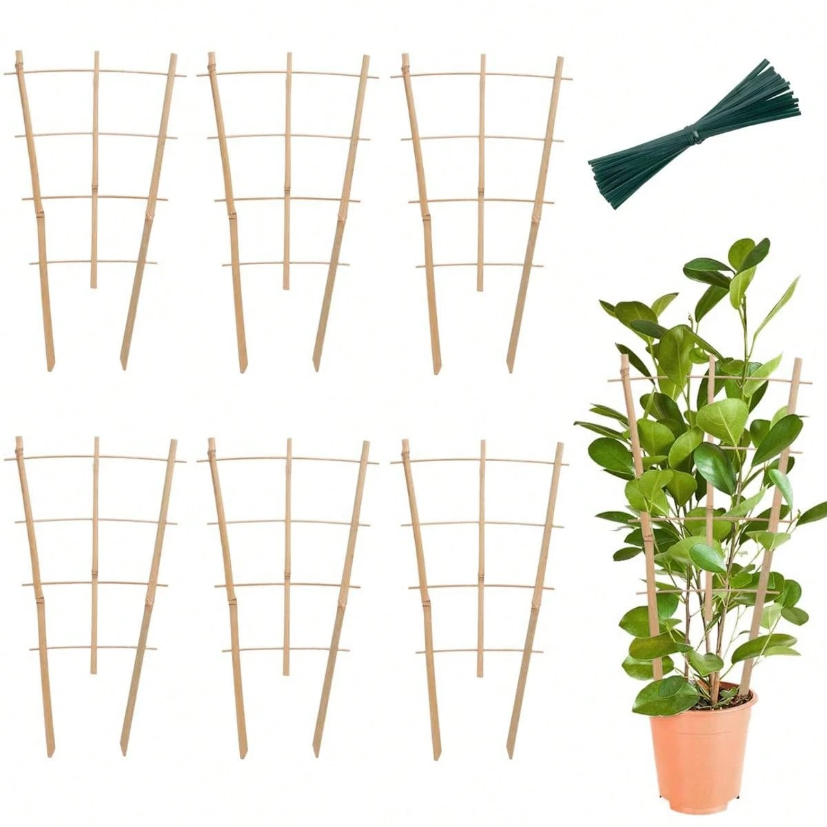 6 piezas Soporte de enrejado en forma de abanico de bambú Mini con ...