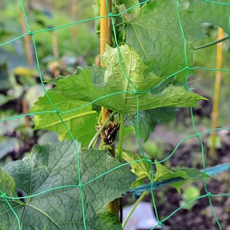 1pc Garden Lattice Trellis Net For Vine & Climbing Plants, Supports The ...
