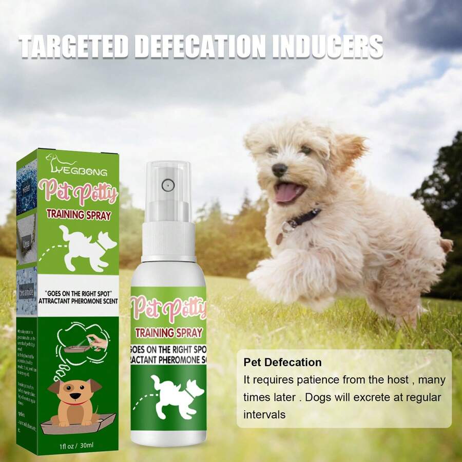 Pet Toilet Training Spray - Two Types Of Sprays To Train Cats And Dogs ...