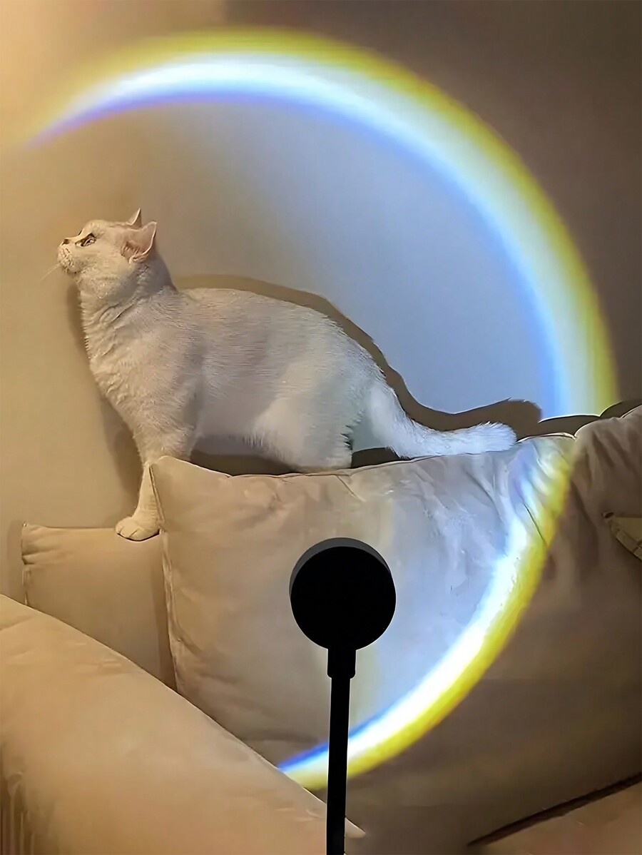 Moon Light Projection Night Light, USB Powered Lighting, Led Moonlight ...