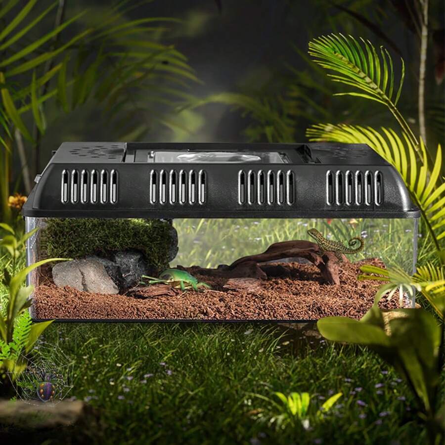 Terrario per rettili, set completo di terrari per PC per la crescita ...