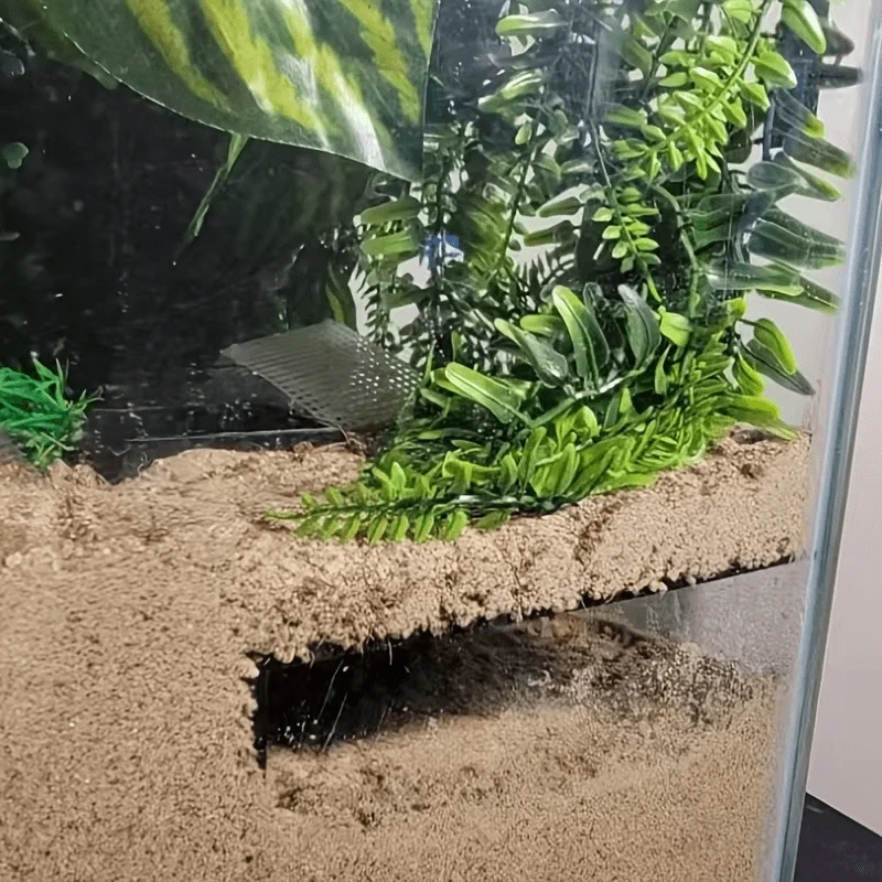 Hermit Crab Habitat Accessories - PLA Plastic Pool With Bark And ...