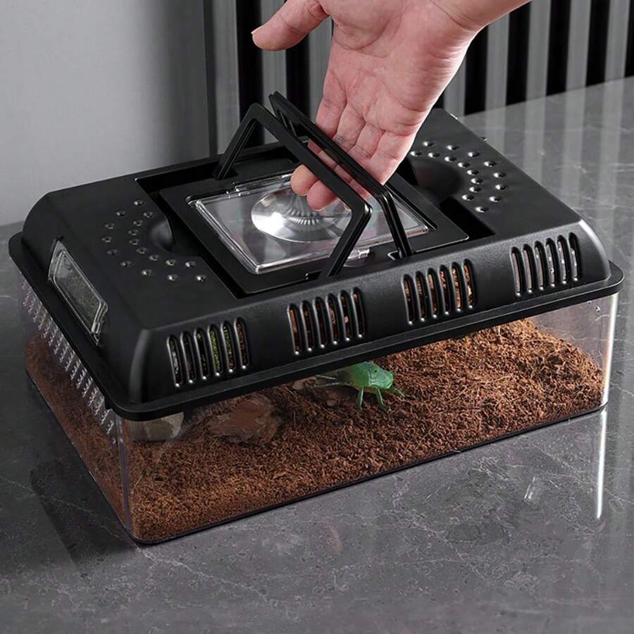 Terrario per rettili, set completo di terrari per PC per la crescita ...