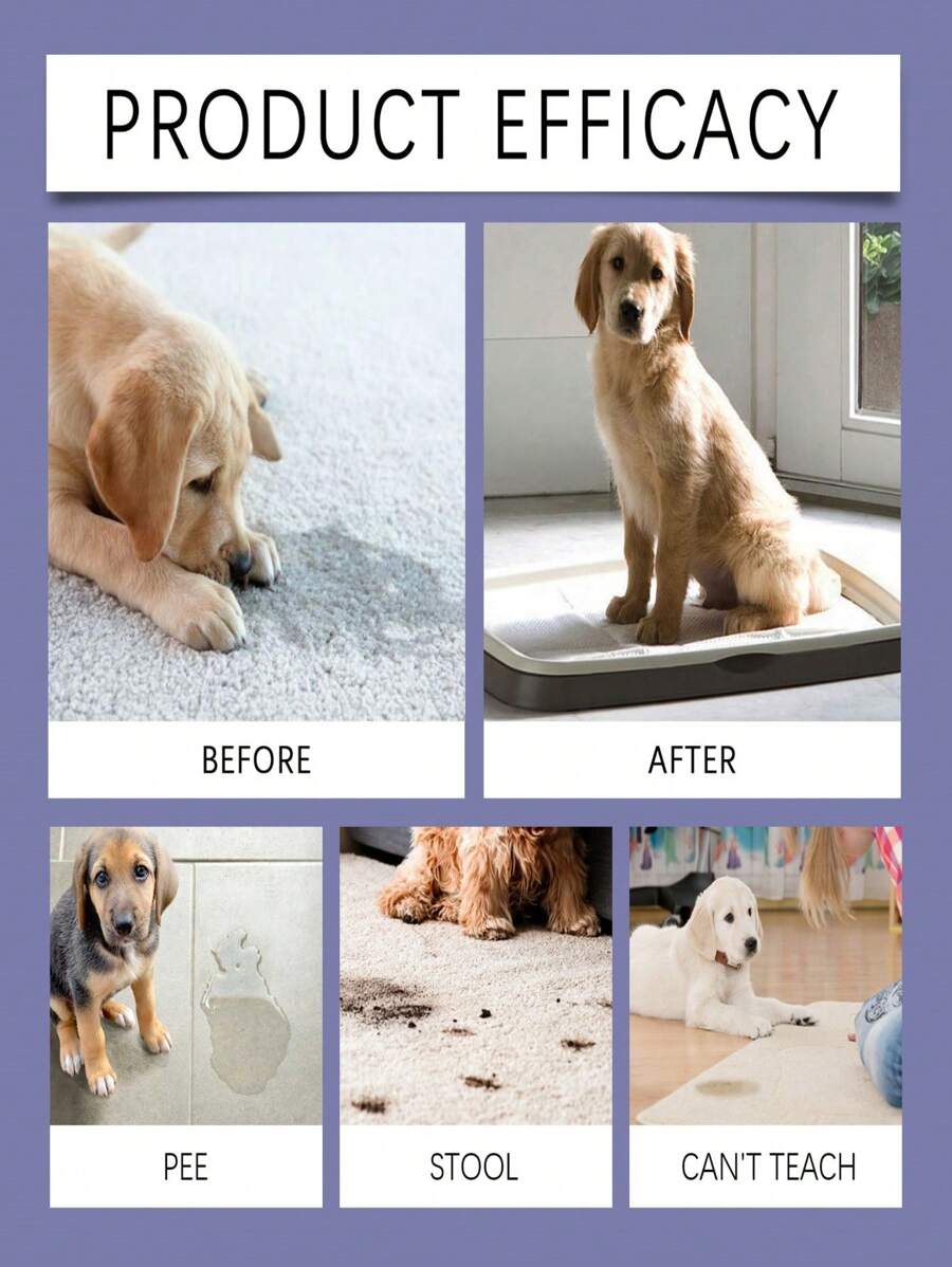 Dog Toilet Training Agent, Indoor And Outdoor Pet Excretion Dog Toilet ...