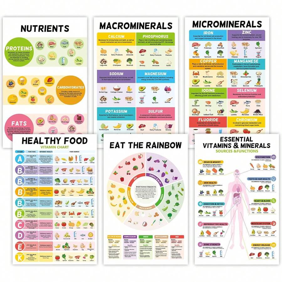 6 Pcs Healthy Chart 11"X17" Vitamin And Mineral Chart Nutrition Poster ...