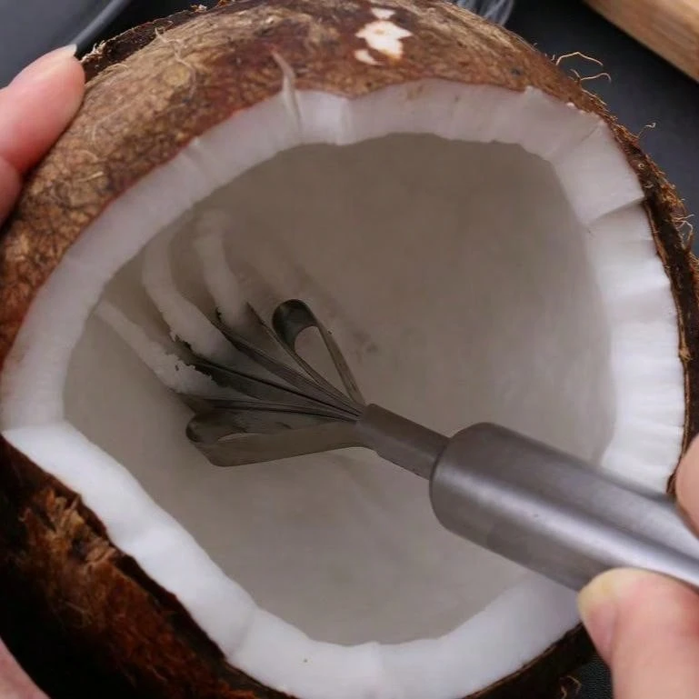 Stainless Steel 5-Claw Coconut Shredder Tool, Coconut Meat Shaver ...
