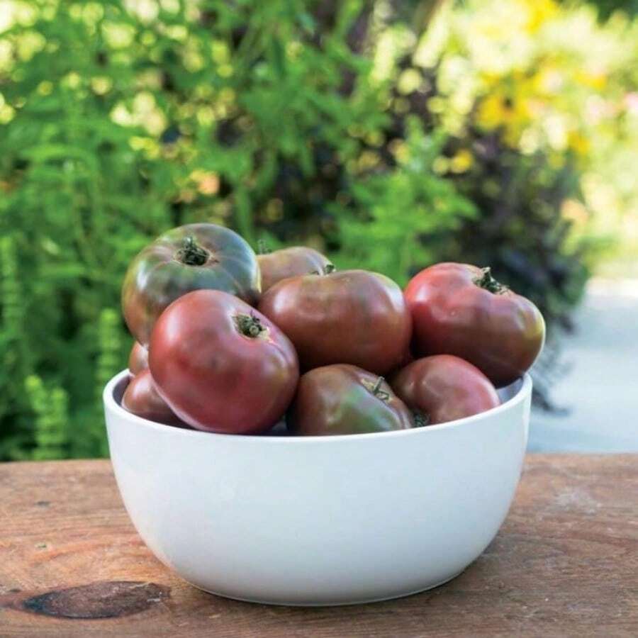 High Germination Rate Constoluto Tomato Seeds - Large Ribbed Tomato ...