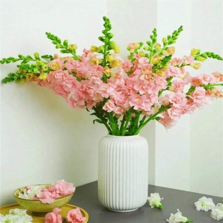 Snapdragon Goldfish Dragon Flower Seed Mix - Heirloom Garden Seeds For ...