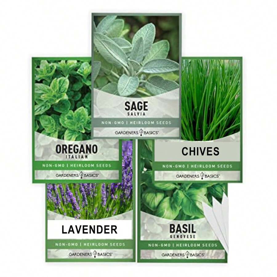 Seeds For Planting Gardeners Basics Pack OREGANO LAVENDER BASIL COMMON ...