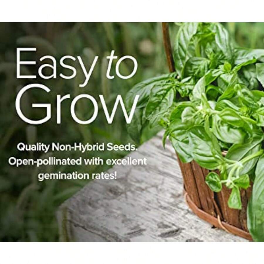 Seeds For Planting Gardeners Basics Pack OREGANO LAVENDER BASIL COMMON ...