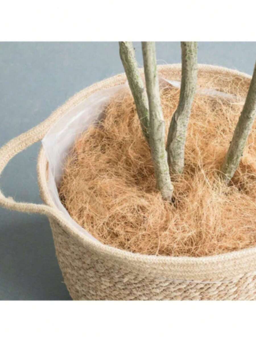 50g Coco Coir Coconut Husk Fiber Orchids Crafts Pet Bedding Insect ...