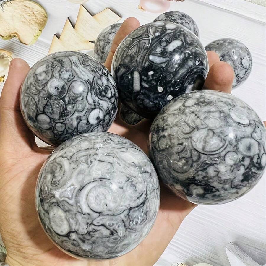 [Natural Fossil Crystal Sphere] 1pc Natural Fossil Sphere - Shell ...
