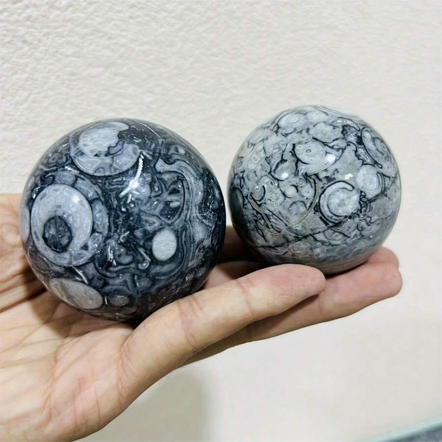 [Natural Fossil Crystal Sphere] 1pc Natural Fossil Sphere - Shell ...