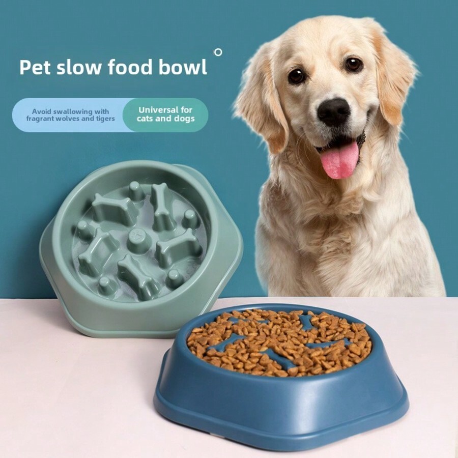 Pet Supplies Slow Feeder Dog Bowl, Bone/Candy Colored Anti-Gulp Cat Slow Feeding Bowl for Sale ...