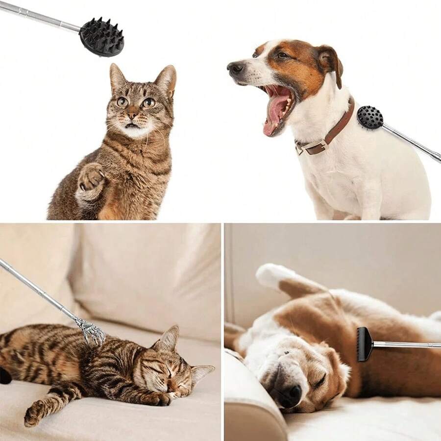 Cactus Scratcher Back Scratcher On A Big Stick, Retractable ...