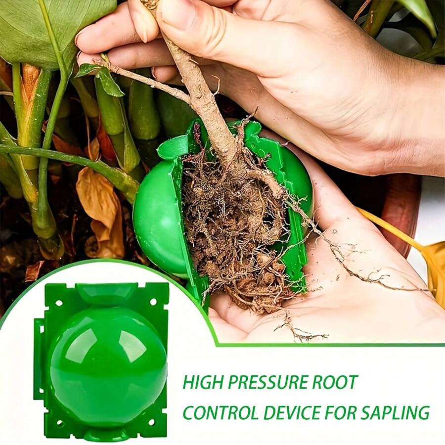 10pcs Plant High Pressure Box, Propagation Box Rooting Apparatus High ...