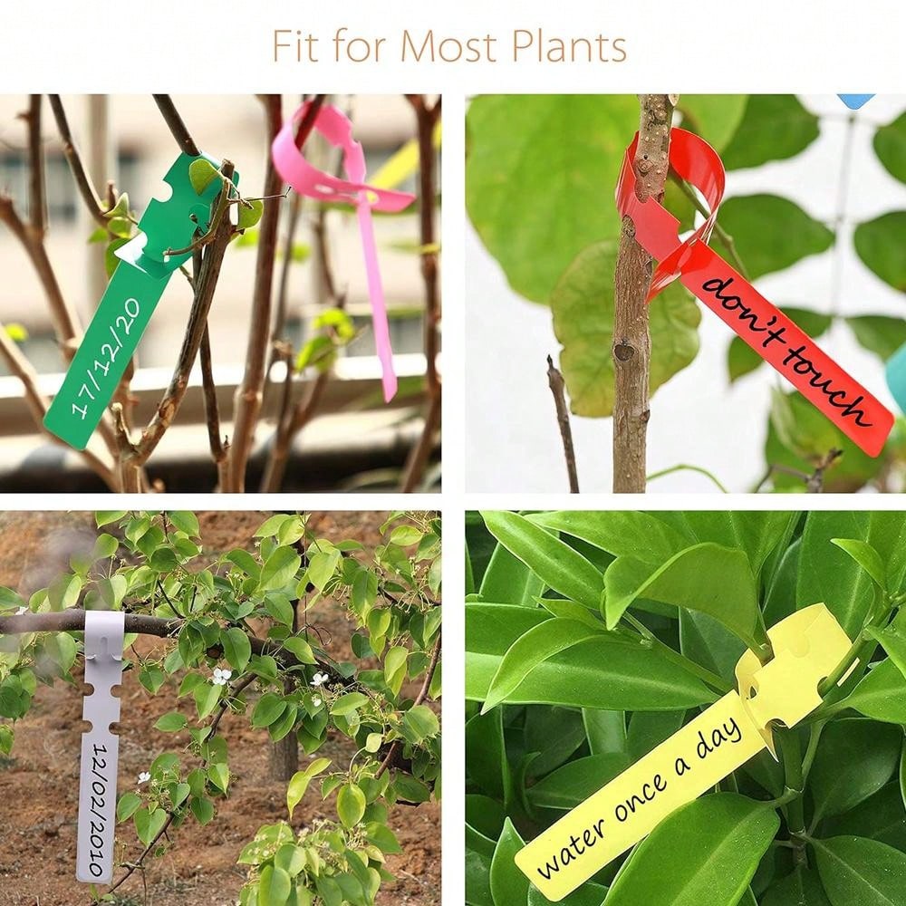 200Pcs Plastic Plant Labels 6 Colors Wrap Around Tree Hanging Tags ...
