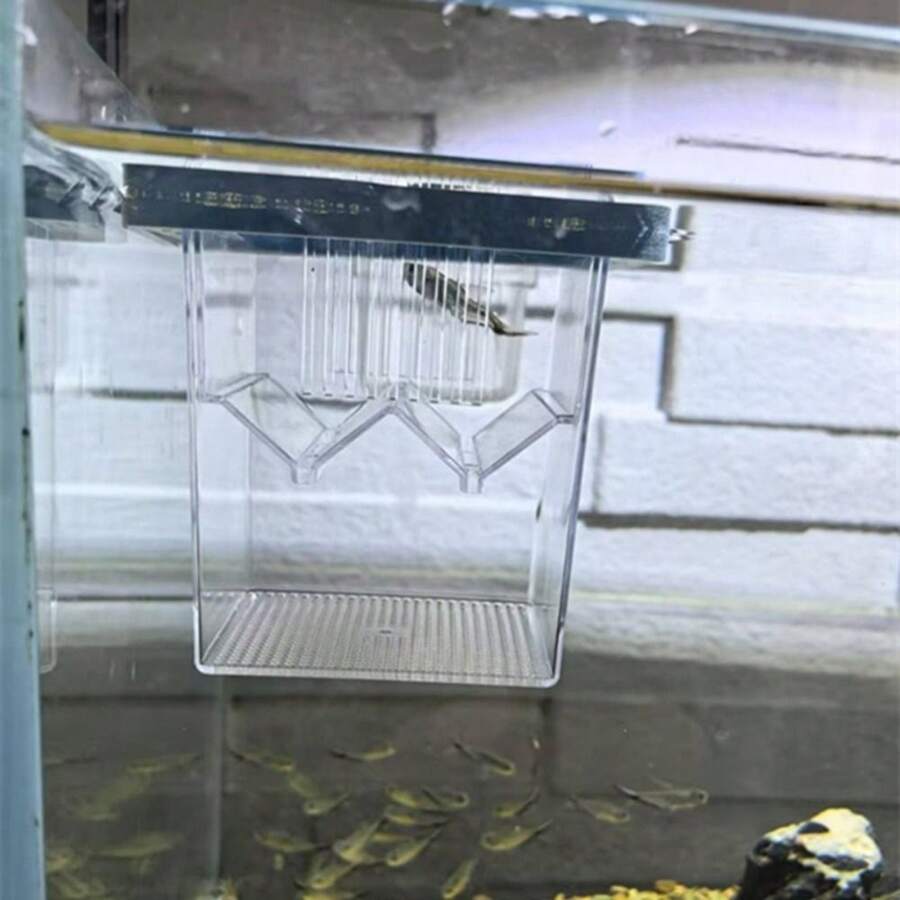 Acrylic Fish Breeding Isolation Box Aquarium Breeder Feeder Fish Tank ...