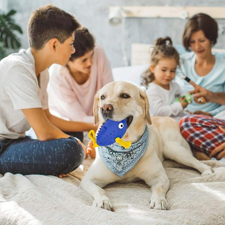 Dudu Fish Dog Chewing Toy With Rope - Rubber Teeth And Tooth Health Toy ...