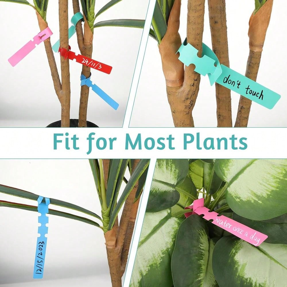 200Pcs Plastic Plant Labels 6 Colors Wrap Around Tree Hanging Tags ...