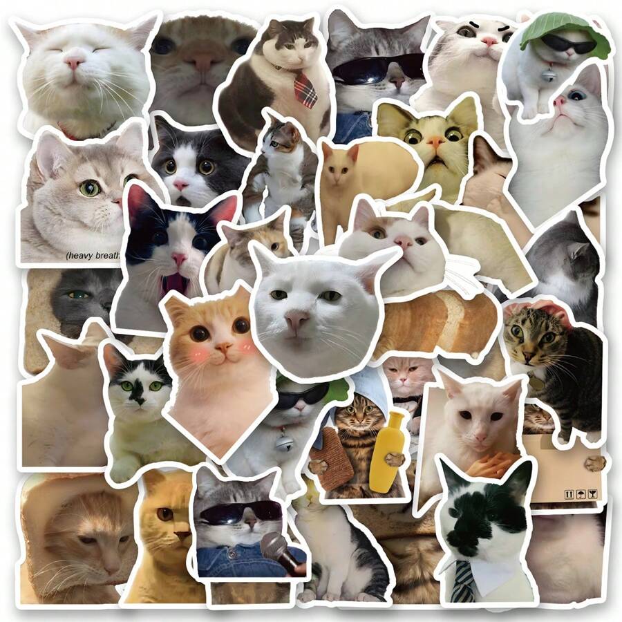 50 PCS Funny Cat Stickers Vinyl Stickers Scrapbook, Journaling, Laptop ...
