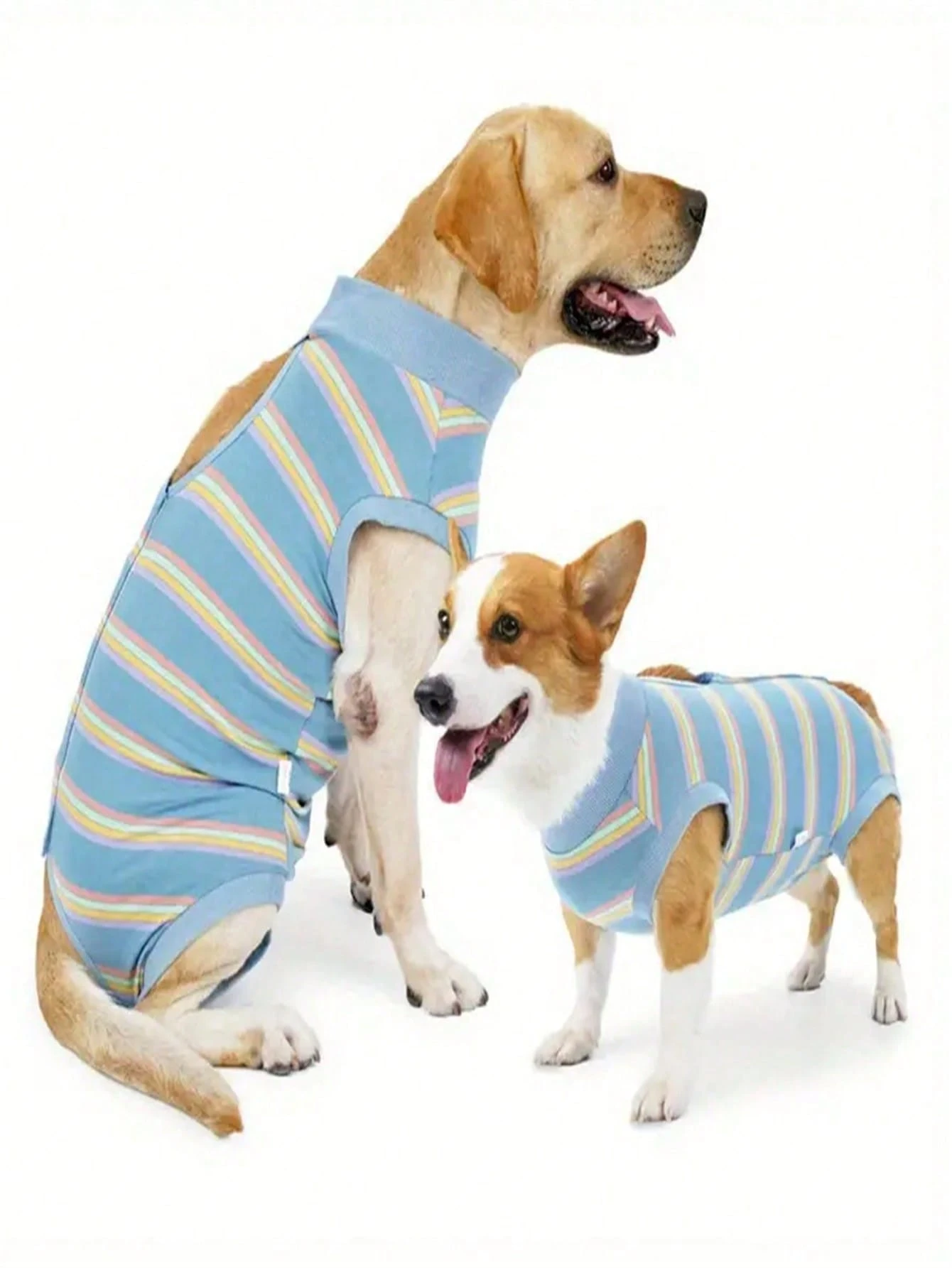Dog Recovery Suit, Recovery Suit For Dogs After Surgery Dog Spay ...