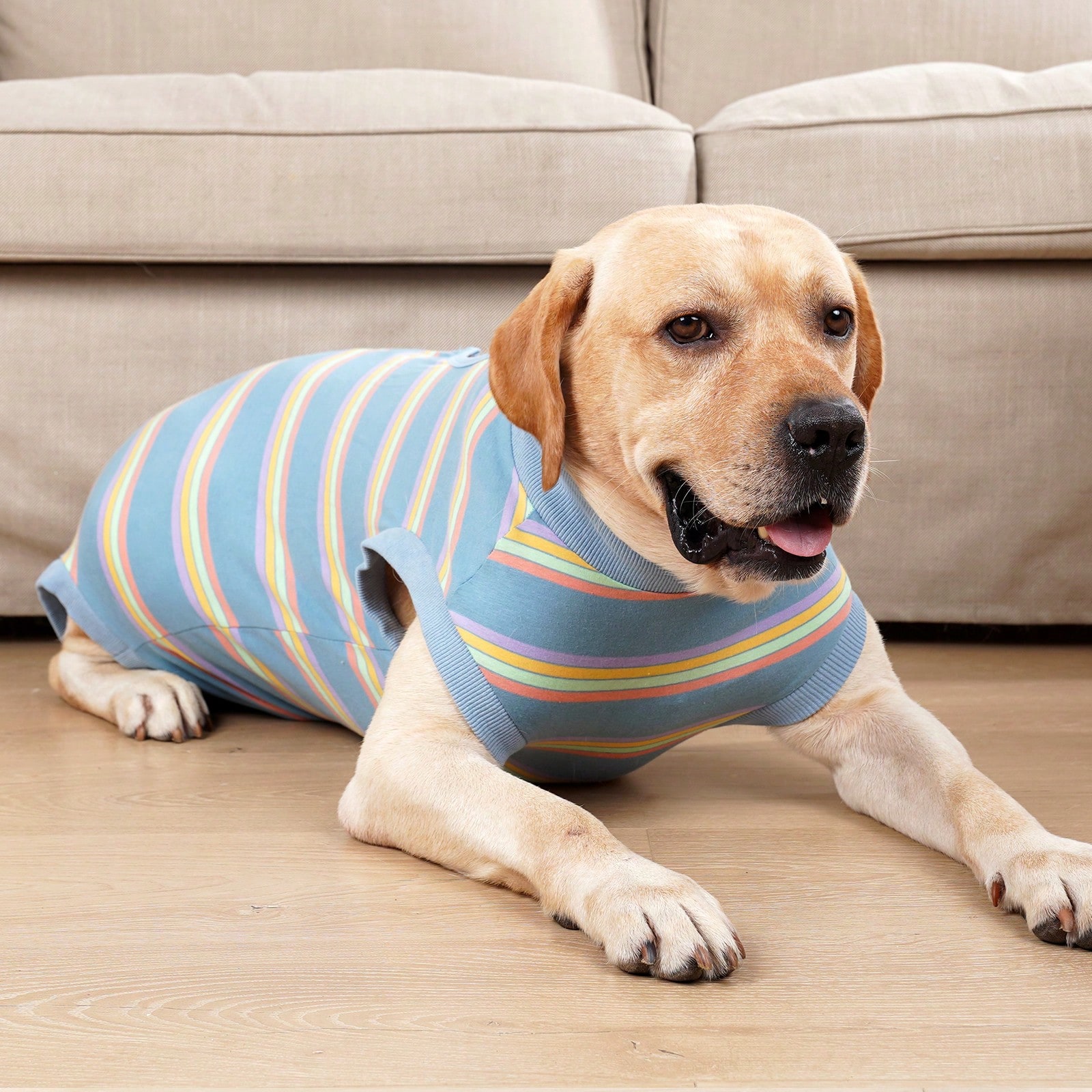 Dog Recovery Suit Abdominal Wound Puppy Surgical Clothes Post-Operative ...