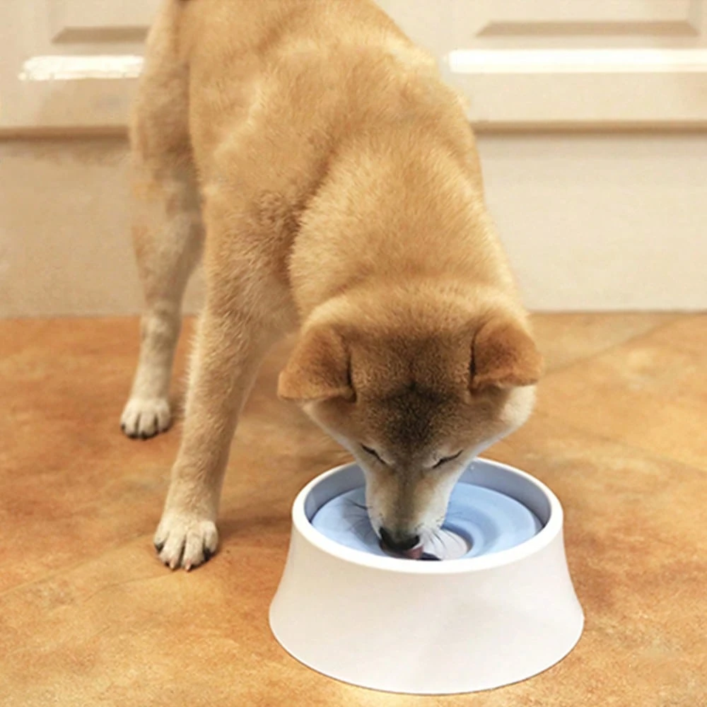 Floating Non-Wetting Mouth Dog Water Bowl Without Spill Drinking Water ...