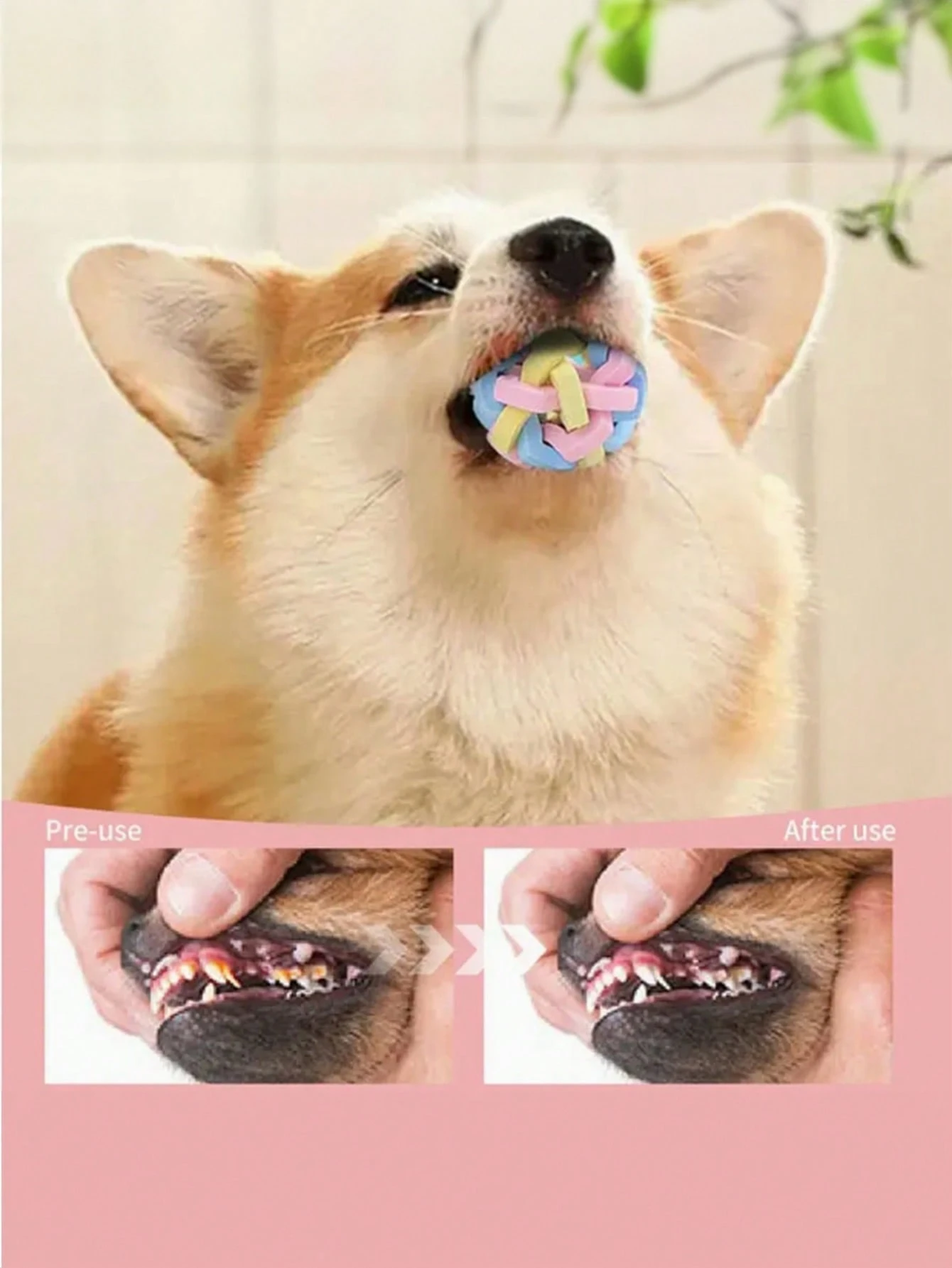 Three-Color Pet Interactive Chew Toy Pet Bell Ball - Interactive Chew ...