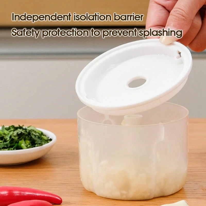 Electric Mini Portable Vegetable And Garlic Puree Machine, 250ML Garlic ...