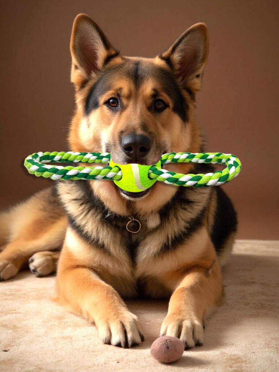 6pcs Dog Rope Knot Training Set - Interactive Chew Toys For Teeth ...