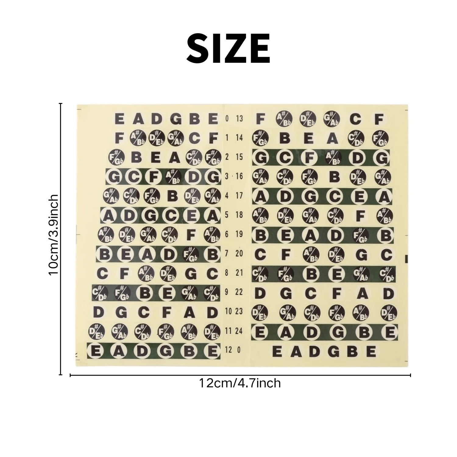 English Letter Fingerboard Stickers Guitar Scale Name Stickers Self ...