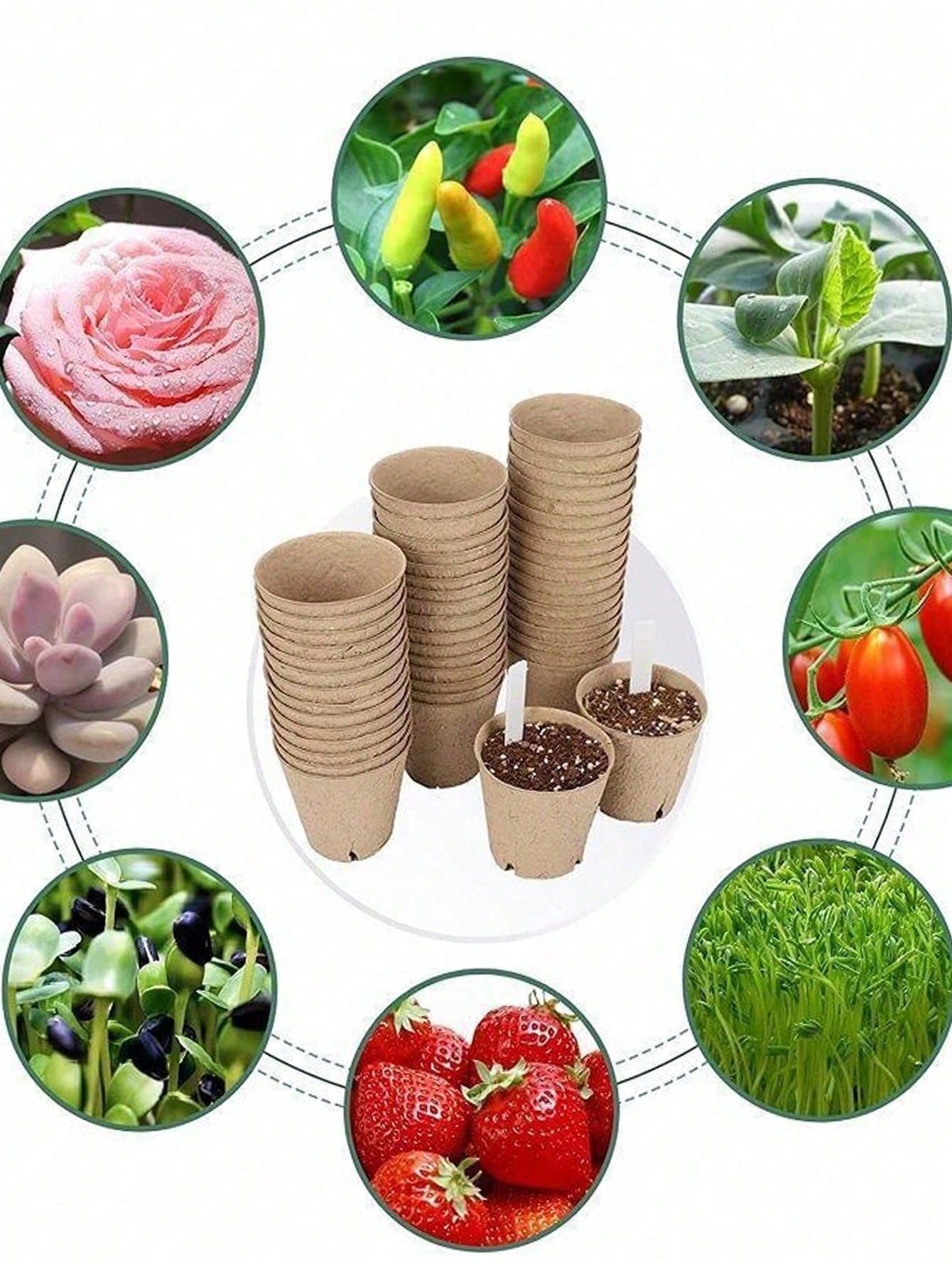 24/40/72pcs Paper Pulp Nursery Pots For Seedling Cultivation, Plant ...