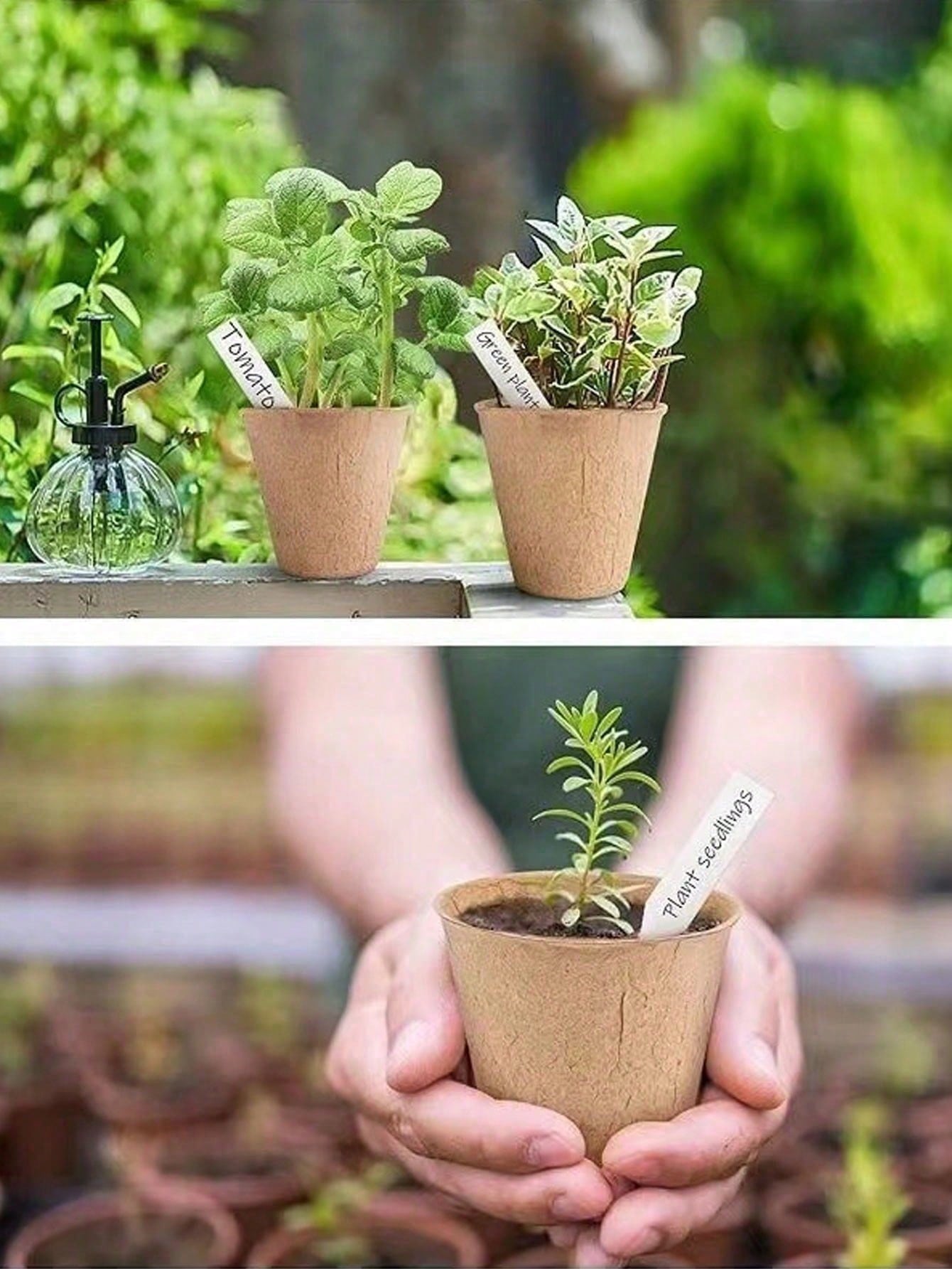 24/40/72pcs Paper Pulp Nursery Pots For Seedling Cultivation, Plant ...