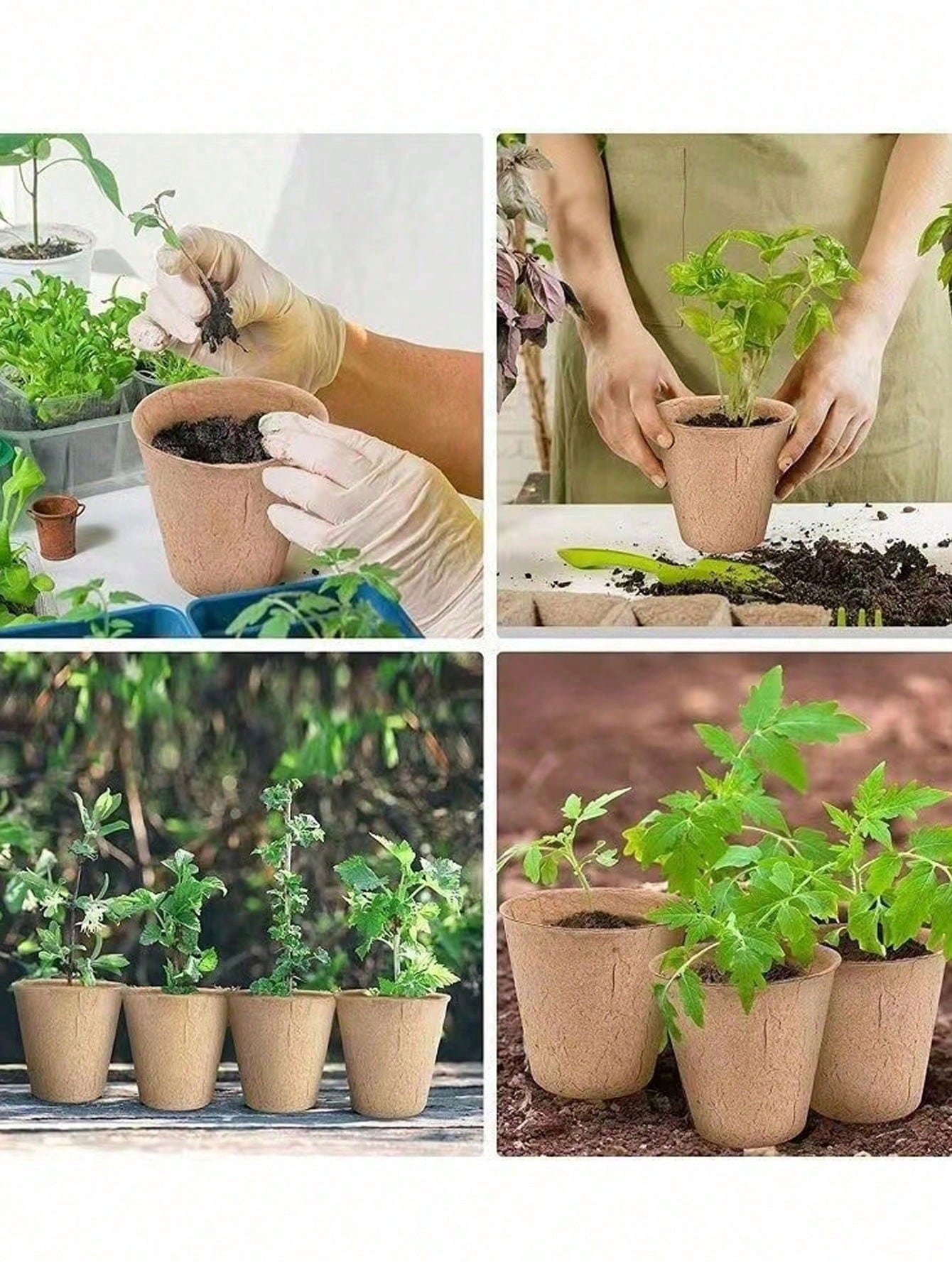 24/40/72pcs Paper Pulp Nursery Pots For Seedling Cultivation, Plant ...