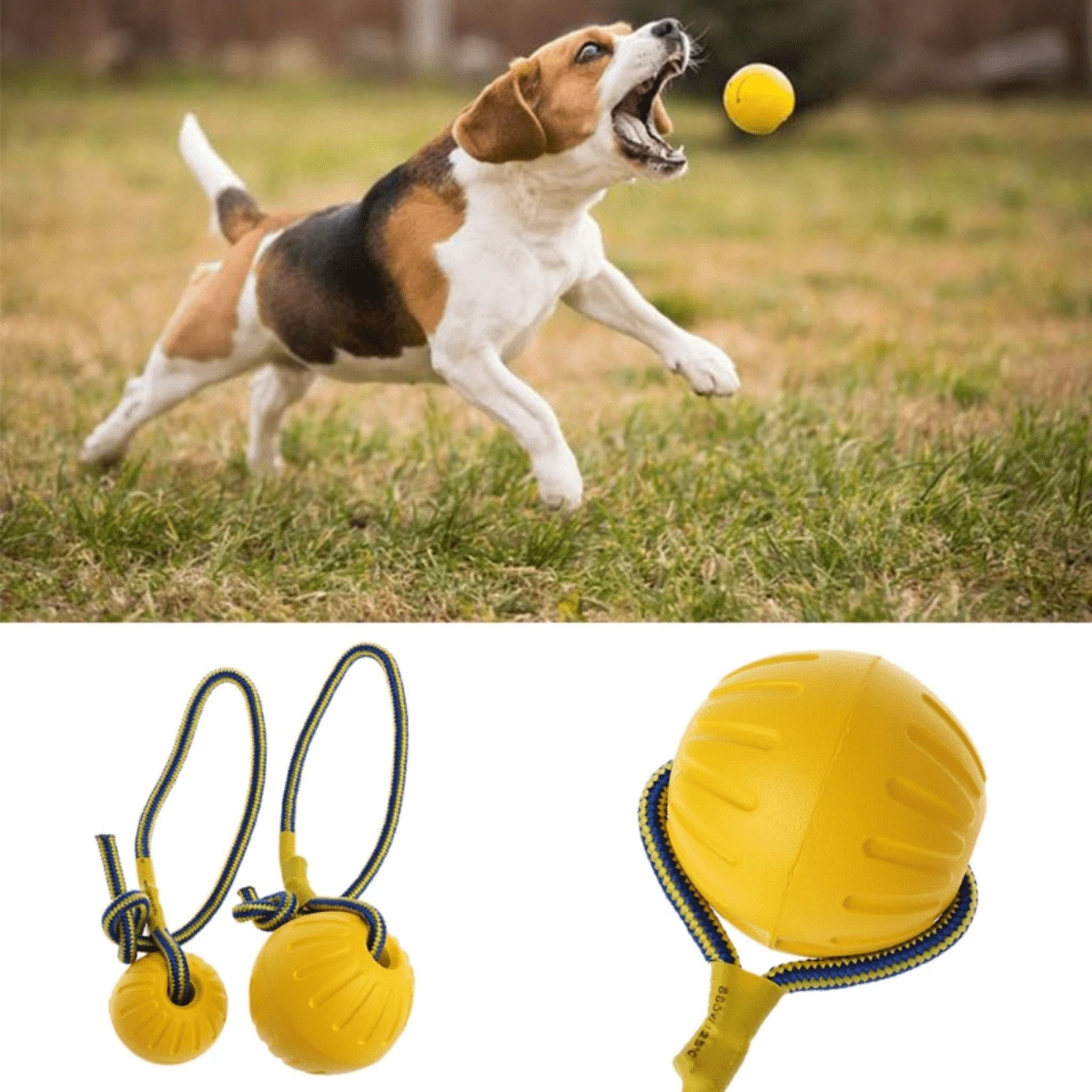 Interactive Dog Toy Ball With Rope - EVA Elastic Floating Ball For Dog ...