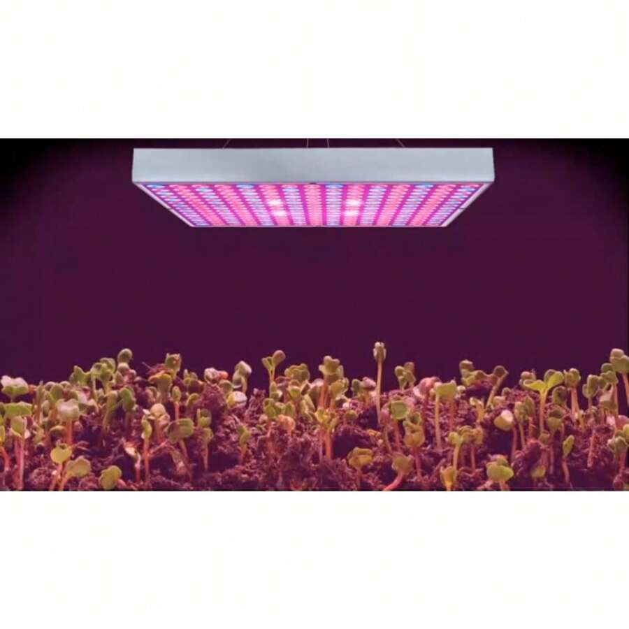 5000W LED Grow Lights Full Spectrum For Indoor Plant Veg Flower Bloom ...