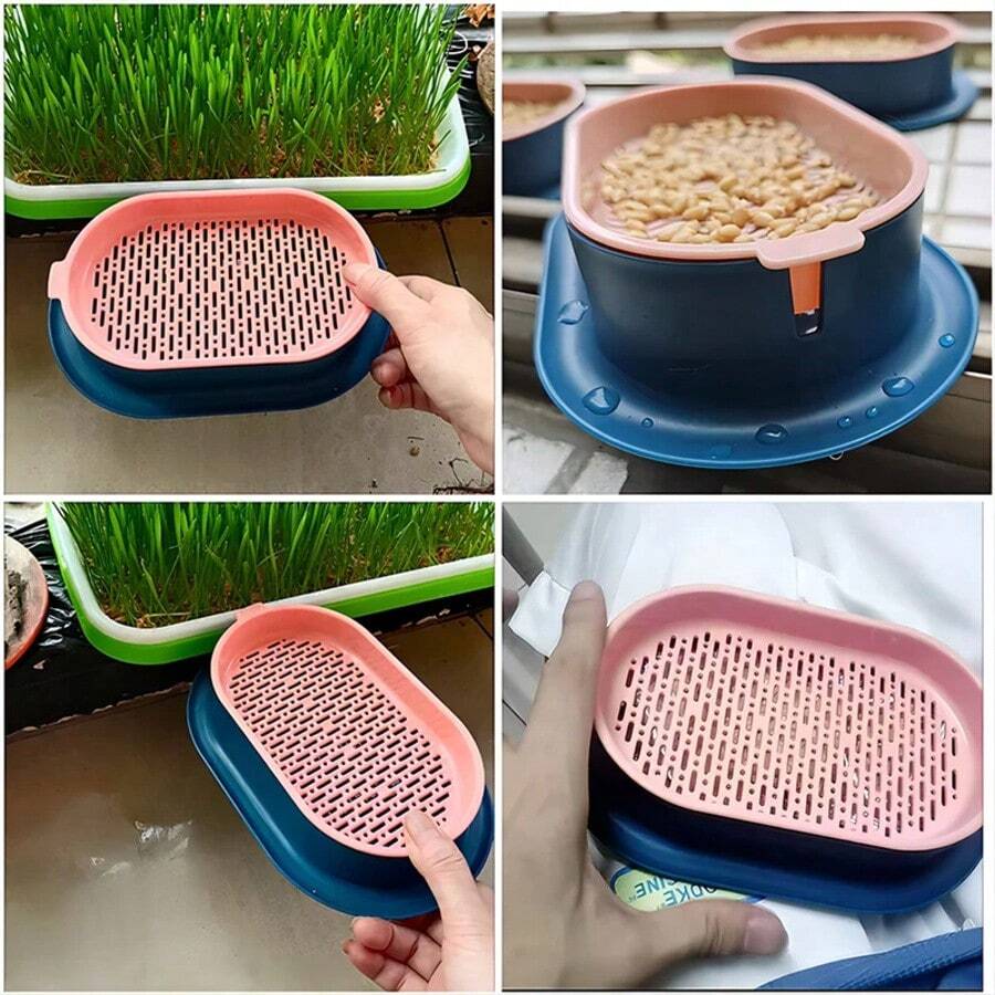 Pet Cat Sprout Dish Growing Pot Hydroponic Plant Cat Pot Grass Box ...