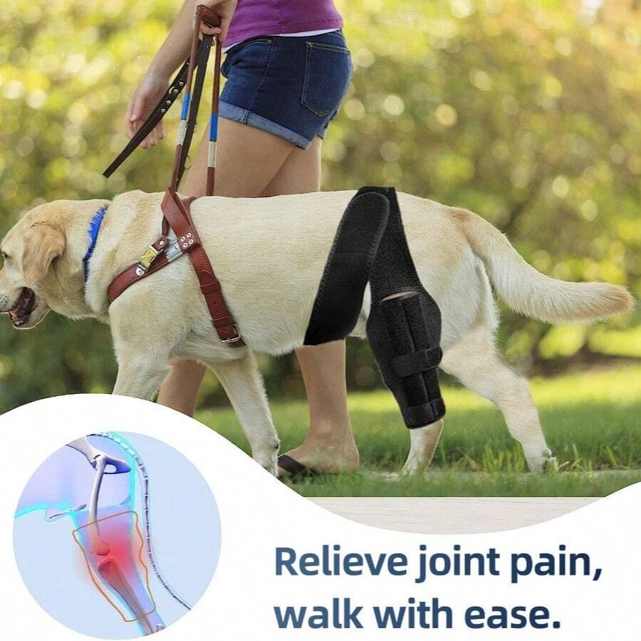 Pet Protectors Dog Leg Injury Aid Band Dog Leg Wraps Dog Knee ...