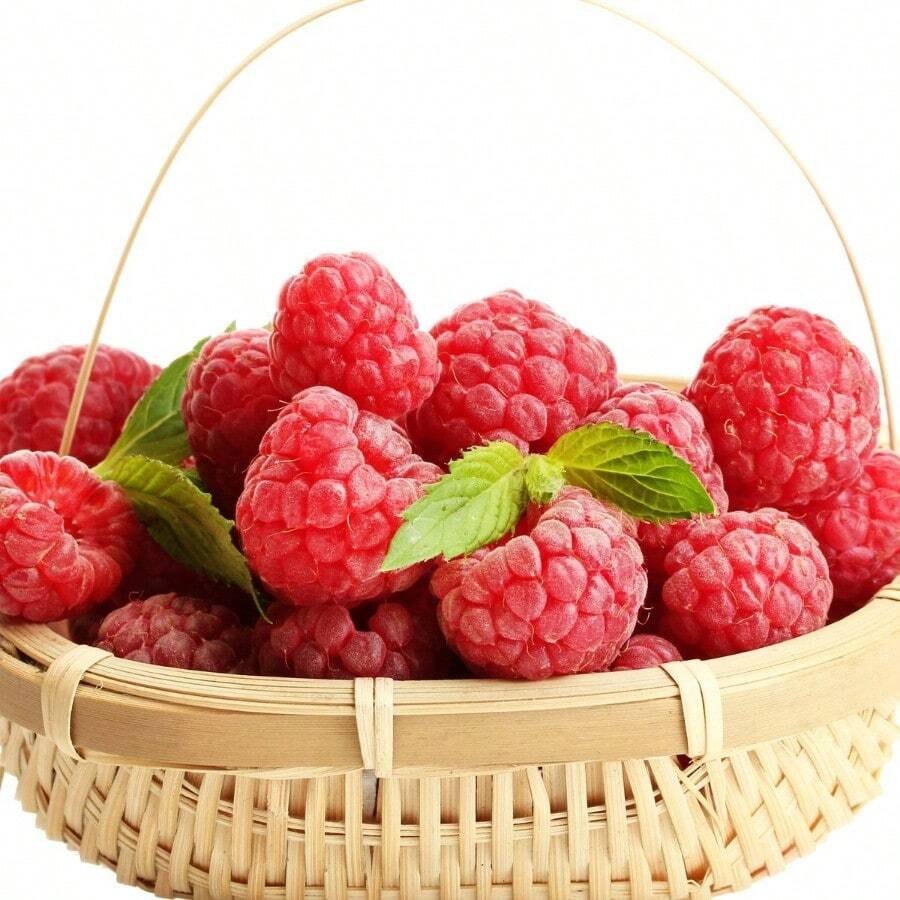Heritage Raspberry Seeds For Planting - Raspberry Seeds - Bare ...
